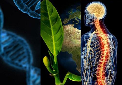 BIOLOGÍA 1 – Secundaria General 29